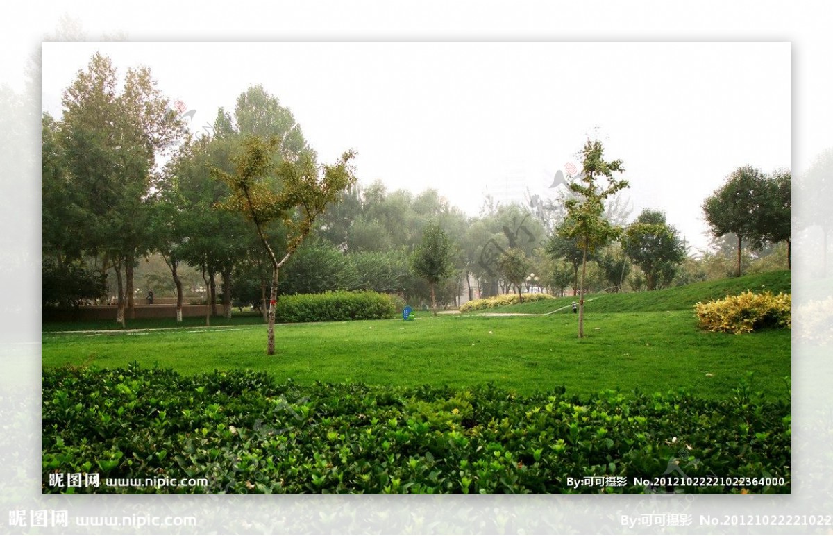 公园草地图片素材-编号09035253-图行天下