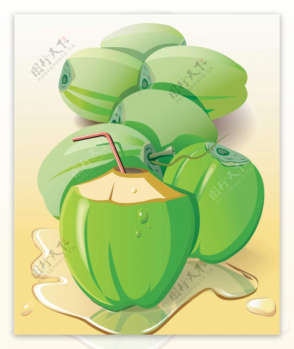 椰子图片素材-编号10056563-图行天下