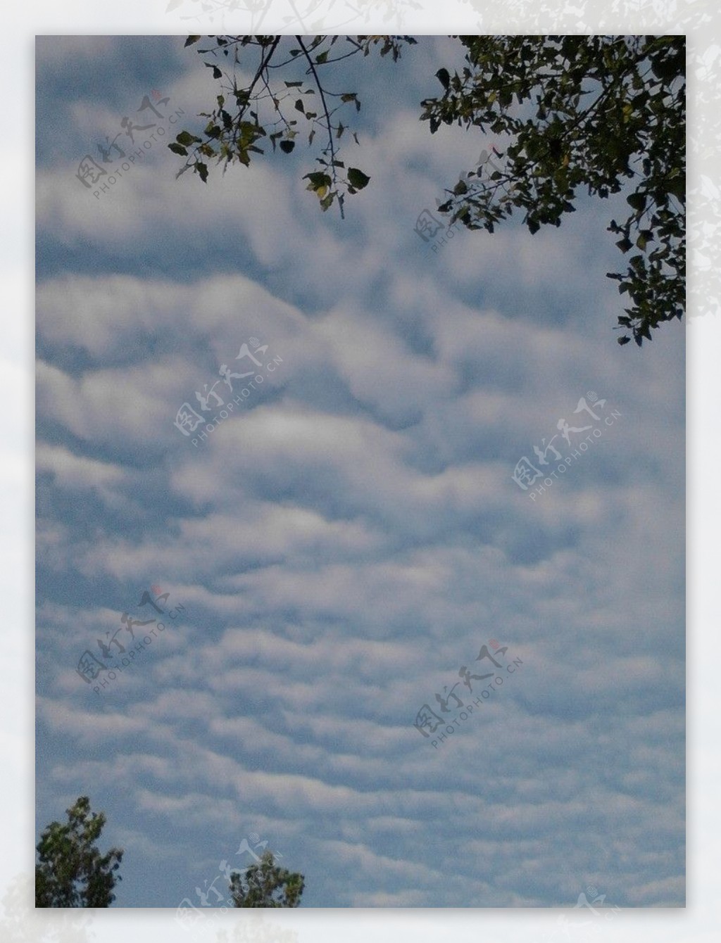 白云图片素材-编号11562133-图行天下
