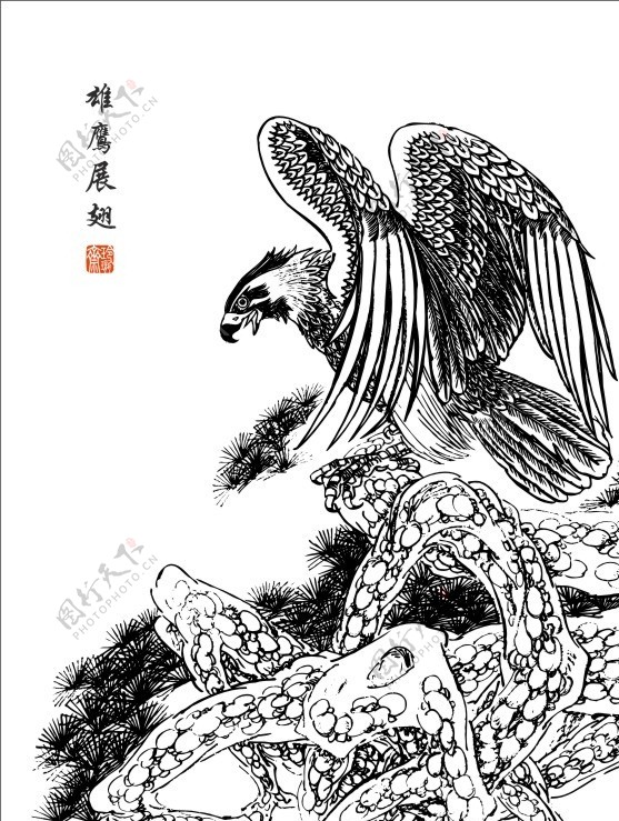 鹰白描图片素材-编号11588783-图行天下