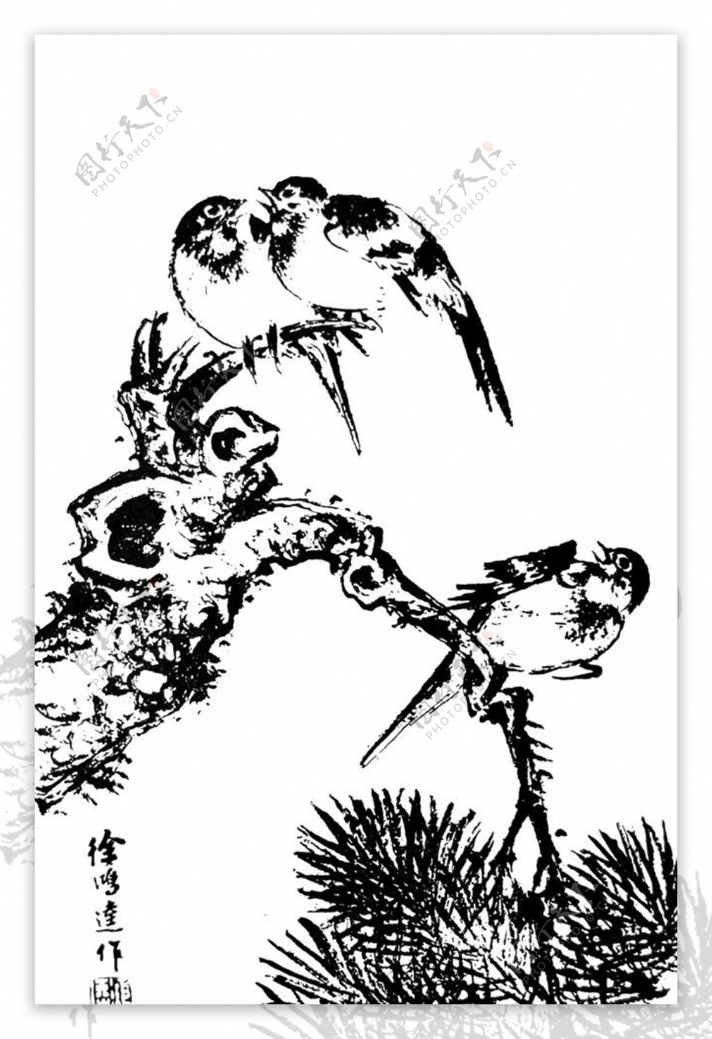 松树鸟国画图片素材-编号11996663-图行天下
