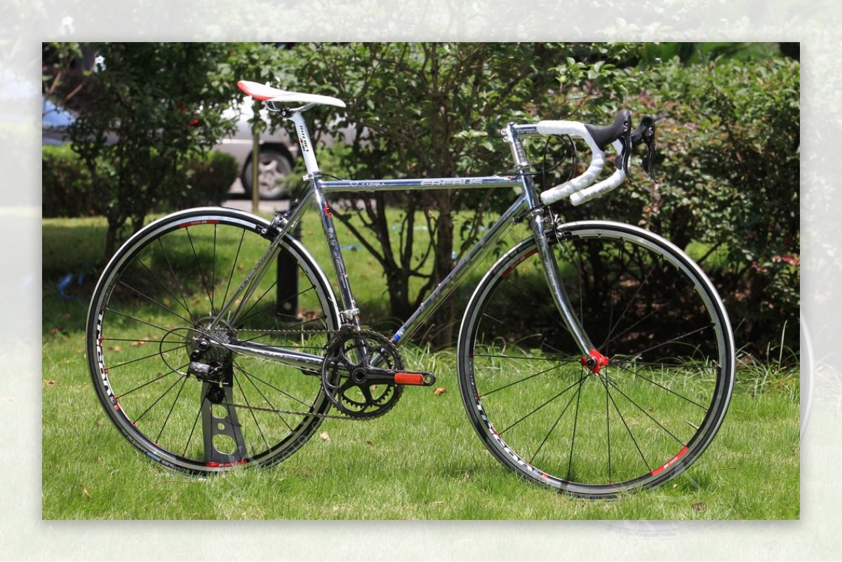 TYRELL泰勒奢侈Ere图片素材-编号12041153-图行天下