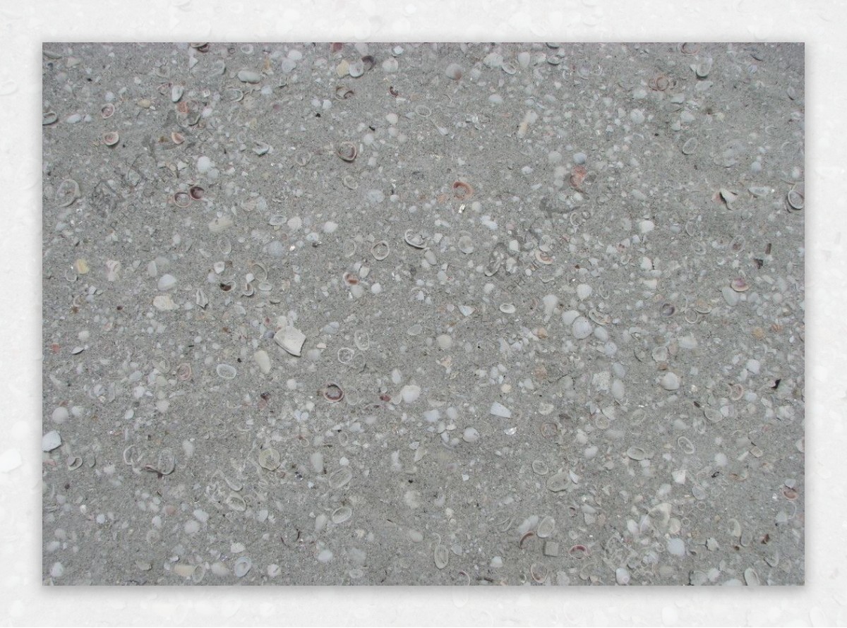 沙滩贝壳高清背景图片素材-编号12738953-图行天下