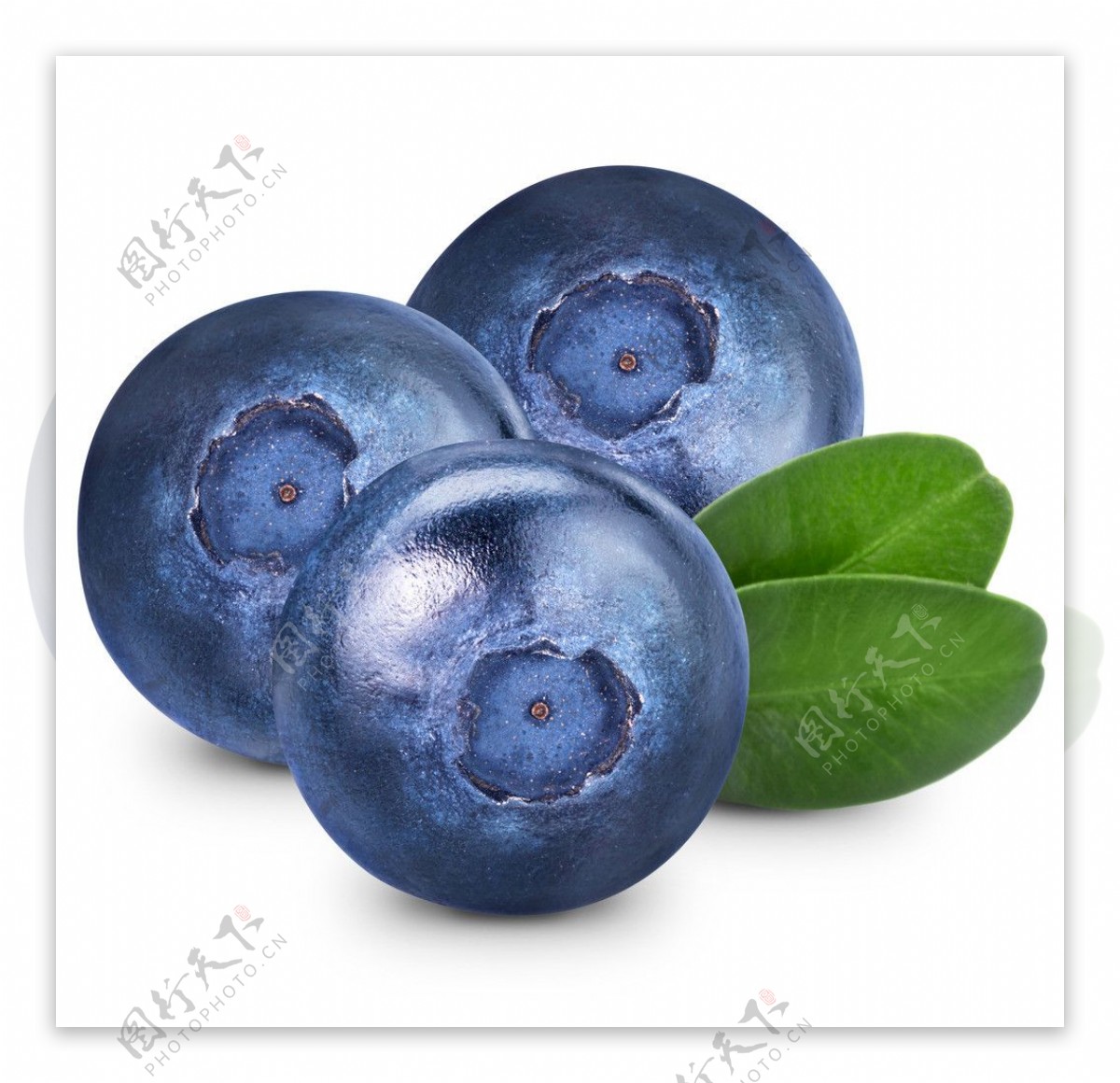 蓝莓图片素材-编号13547603-图行天下