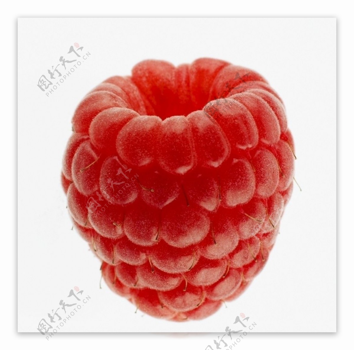 树莓图片素材-编号13681593-图行天下