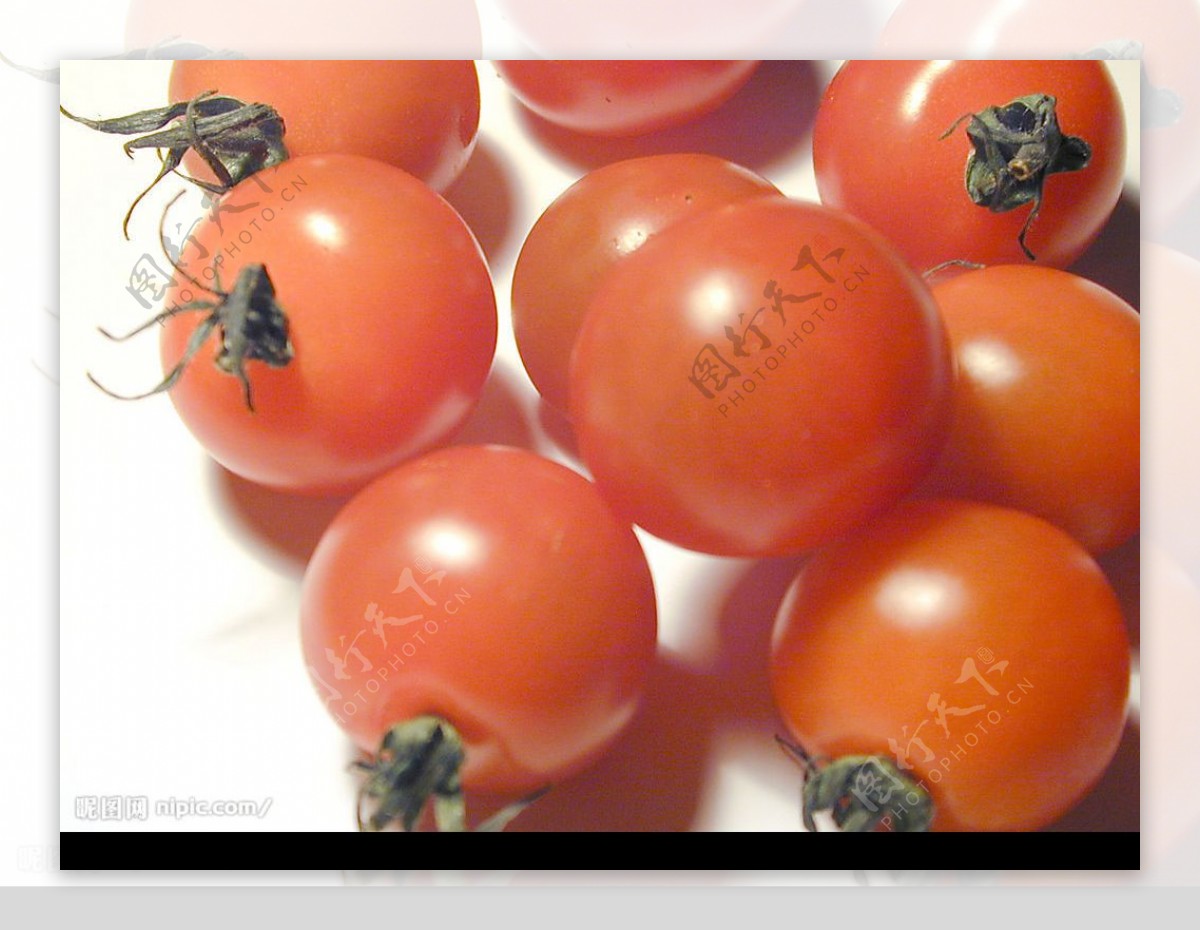 蕃茄图片素材-编号13964573-图行天下