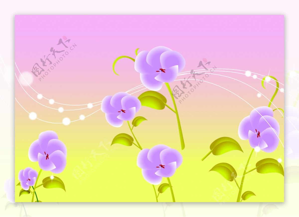 紫色花图片素材-编号15183443-图行天下