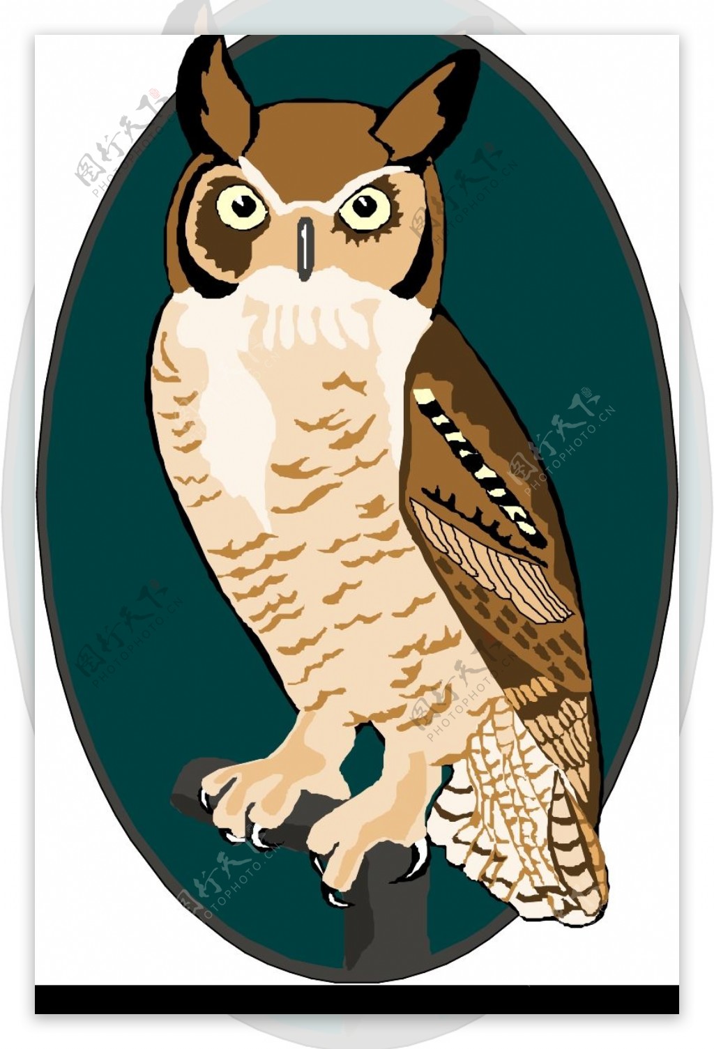 鸟类动物0913图片素材-编号20618853-图行天下