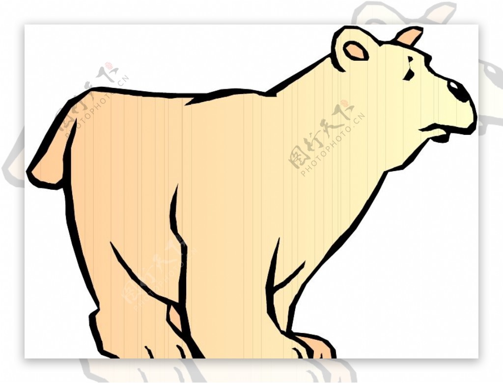 野生动物1480图片素材-编号20633623-图行天下