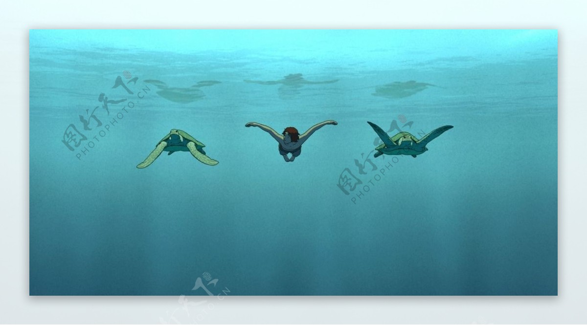 红海龟图片素材-编号23848003-图行天下