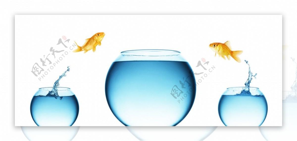 跳跃的鱼图片素材-编号28131453-图行天下