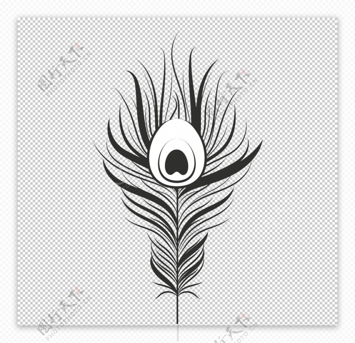 卡通孔雀图片素材-编号32261233-图行天下