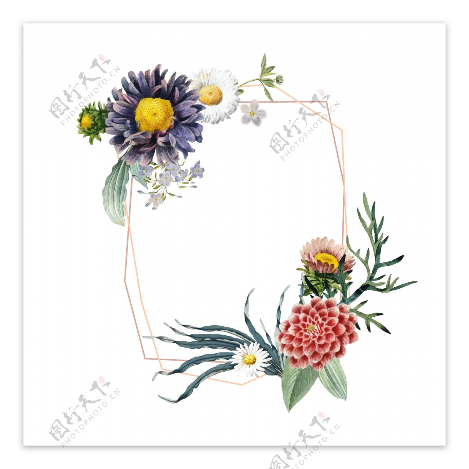 花边框图片素材-编号33203443-图行天下